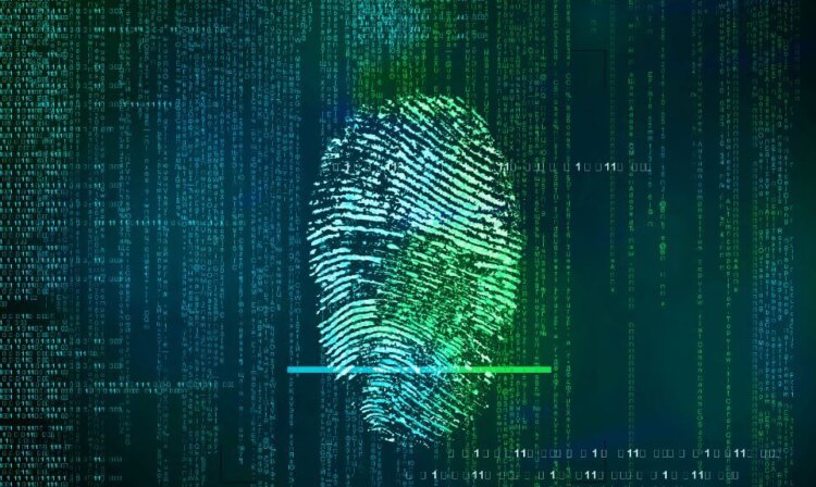 3 Major Types of Fingerprints | Find Out the Various Types of ...