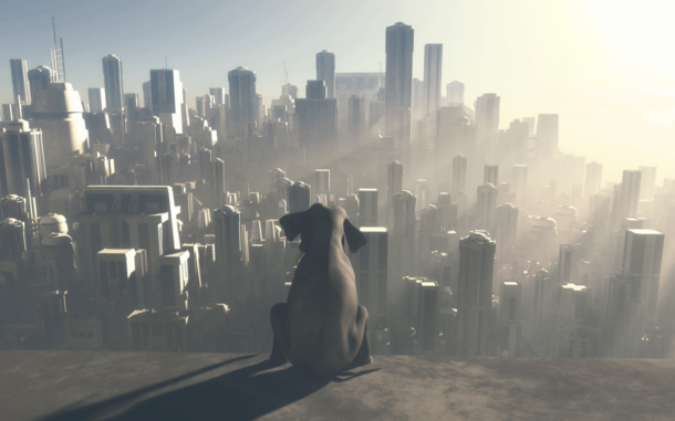 There are Some Strange Laws … in Utah | Attorney at Law Magazine