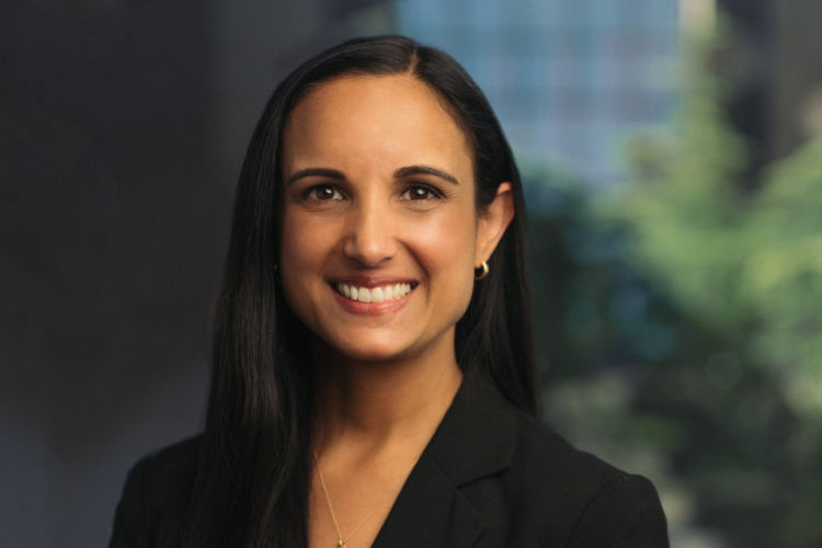 Meister Seelig & Fein’s Matrimonial Team: The Big Picture of Family Law ...